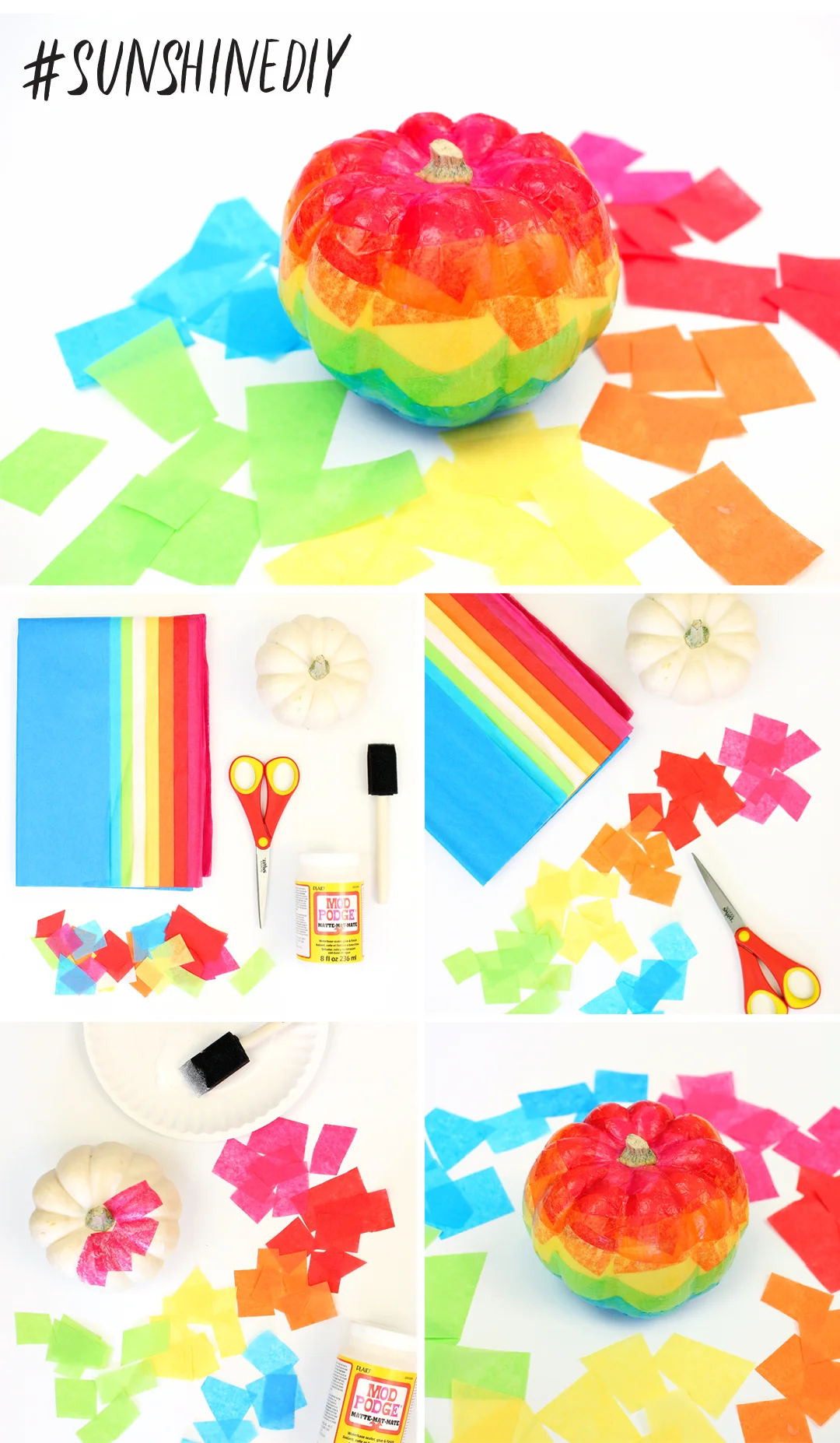 DIY Rainbow Pumpkin — Sunshine Craft Co
