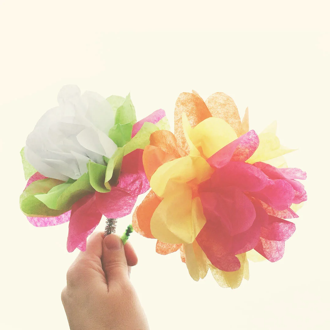 Tissue Paper Flowers — Sunshine Craft Co