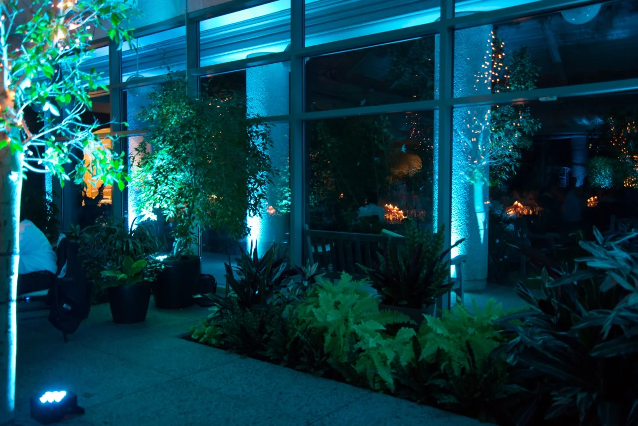 UPLIGHTING — Chris Laich Music Services