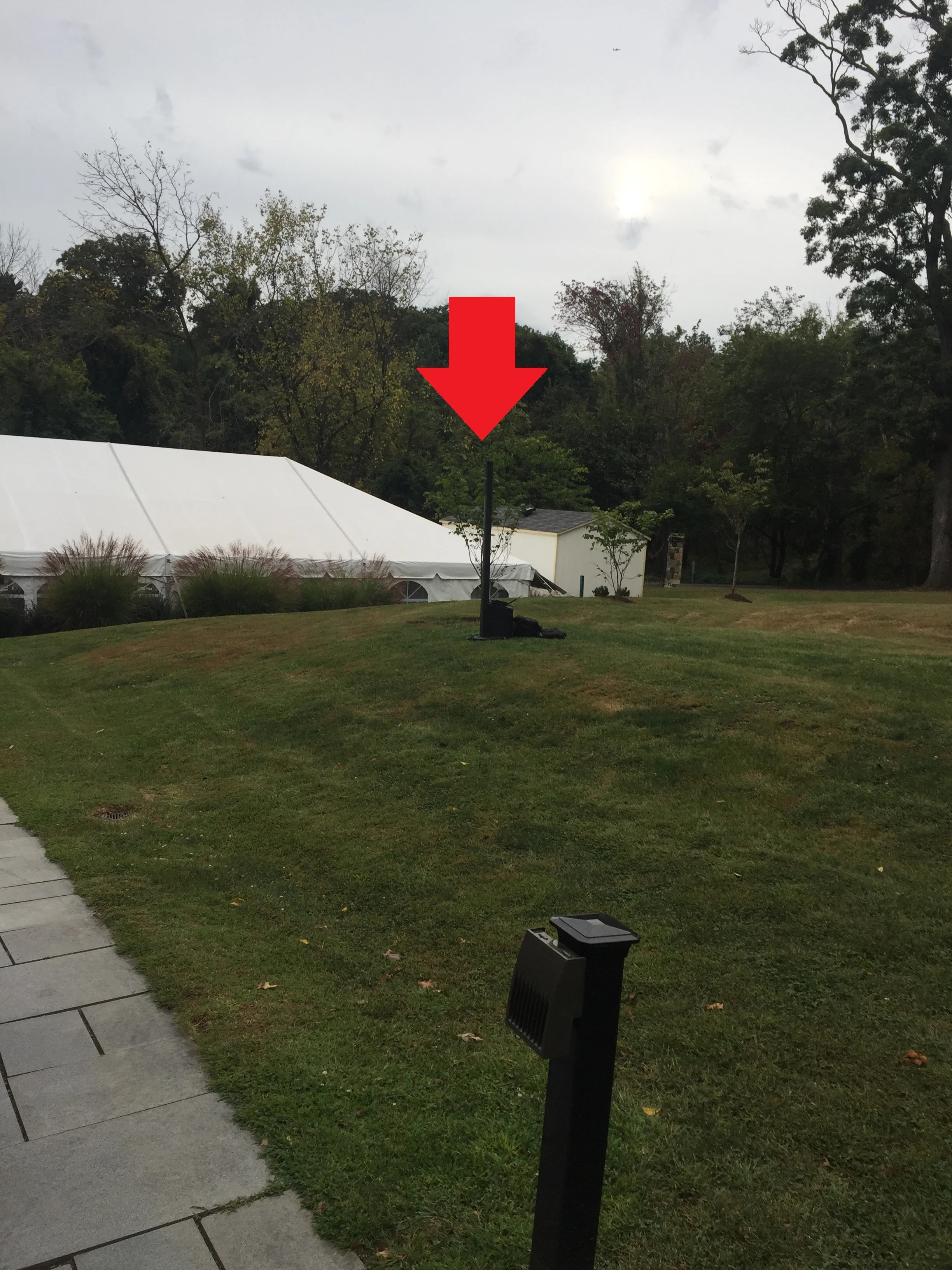 LOOK and LISTEN — Chris Laich Music Services