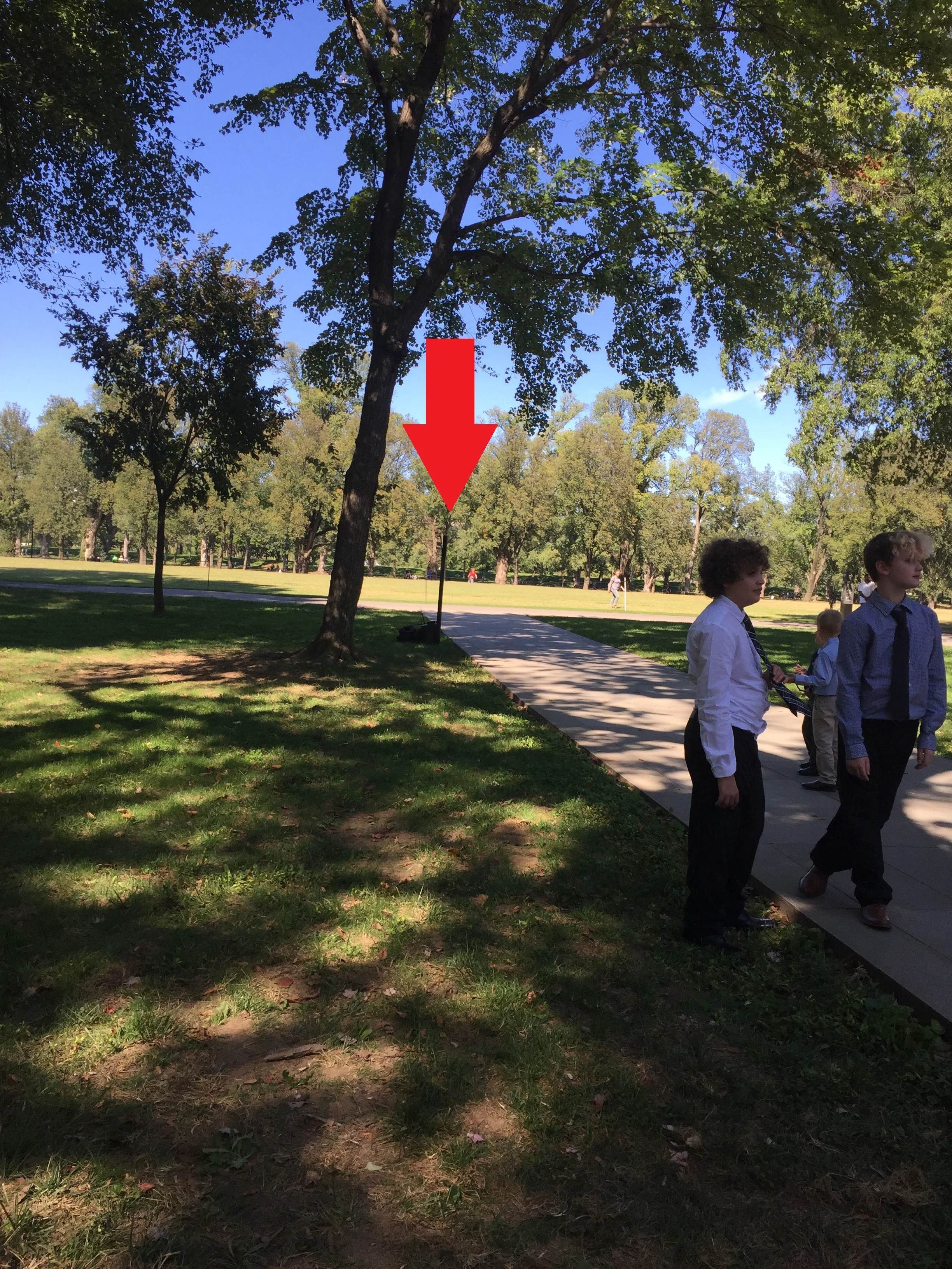 LOOK and LISTEN — Chris Laich Music Services