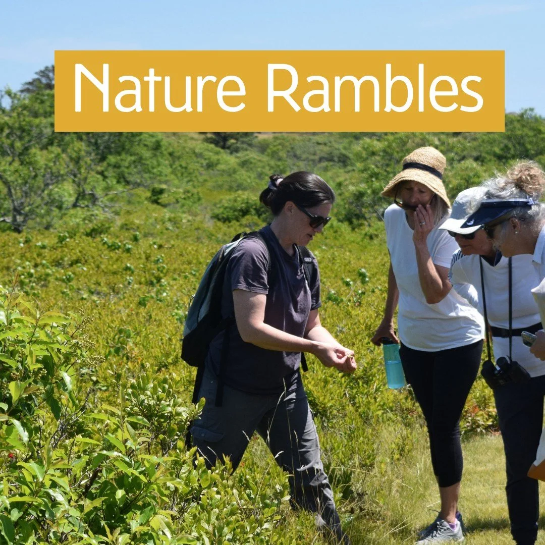 Linda Loring Nature Foundation