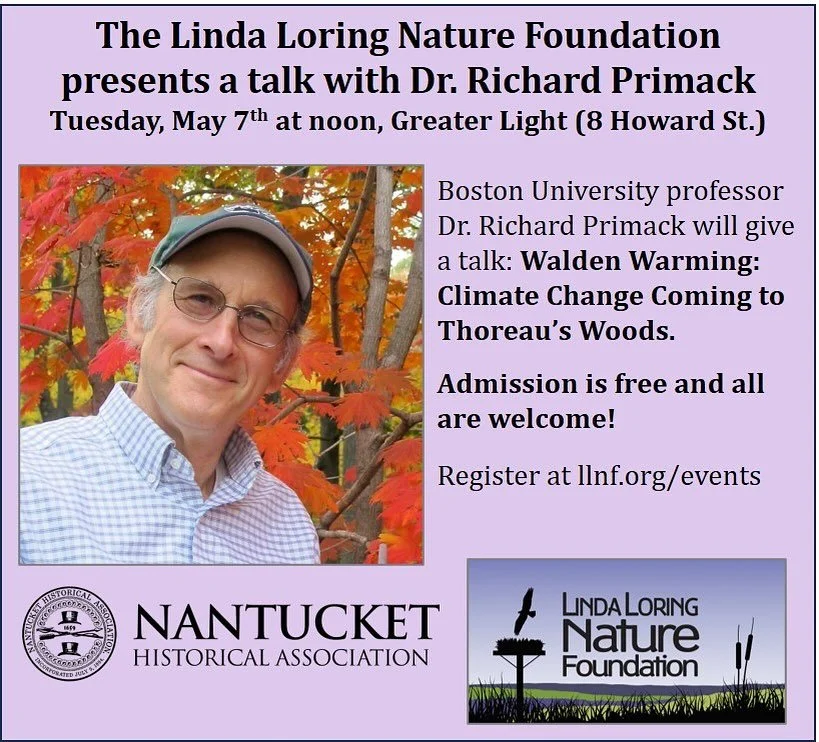 Linda Loring Nature Foundation