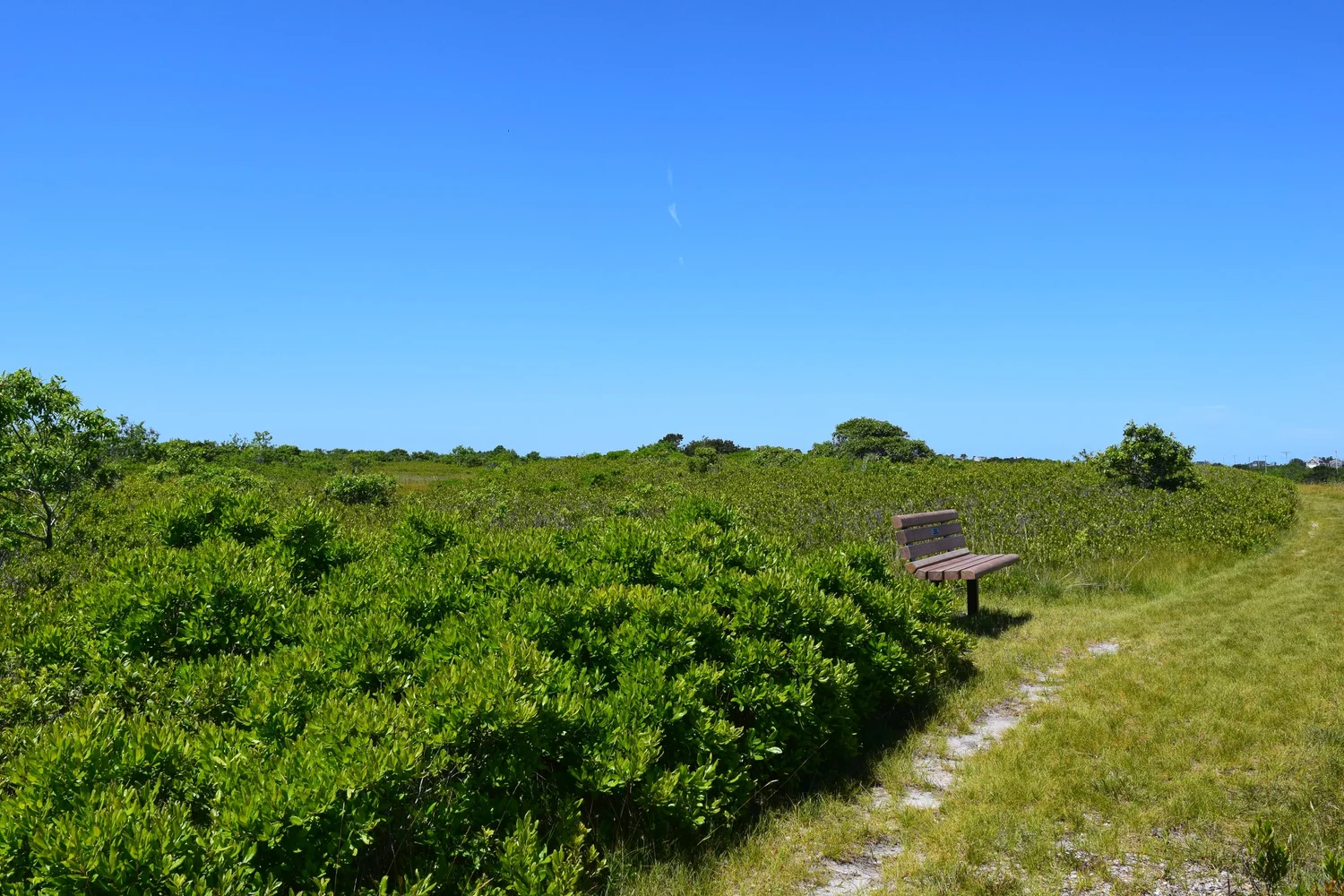 Events and Public Programs with the Linda Loring Nature Foundation ...