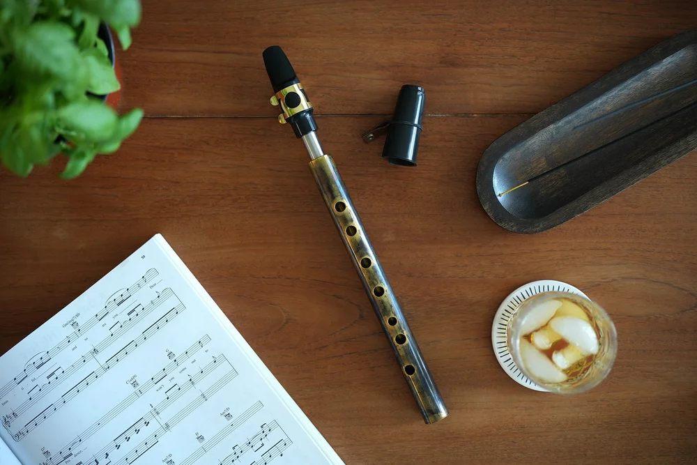 Mini Sax - Easy to Pick Up and Play