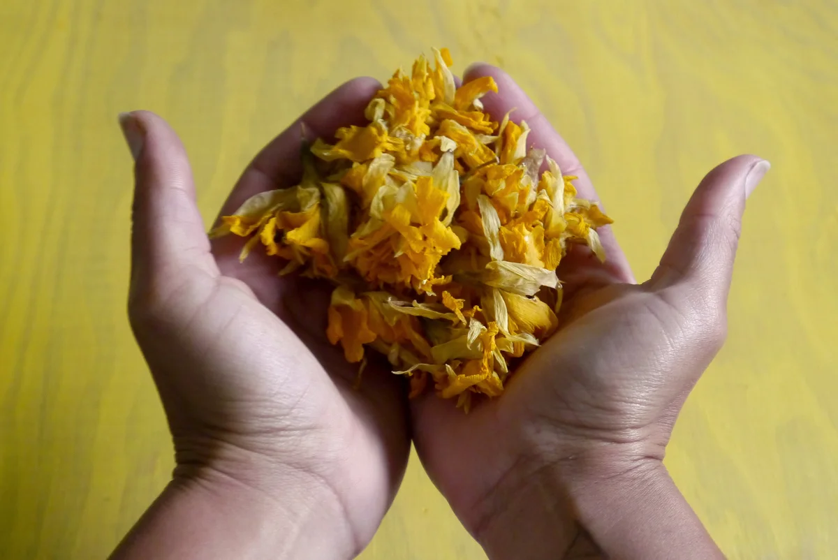 Plant Dyes — mixed color