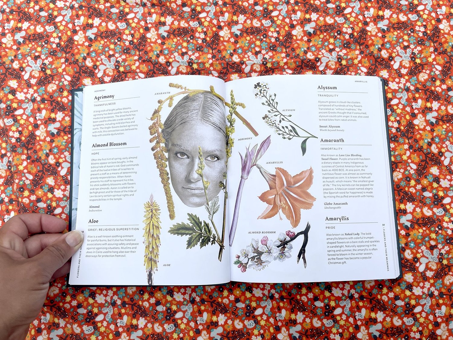 LIBRARY: Flowers and Their Meanings — mixed color