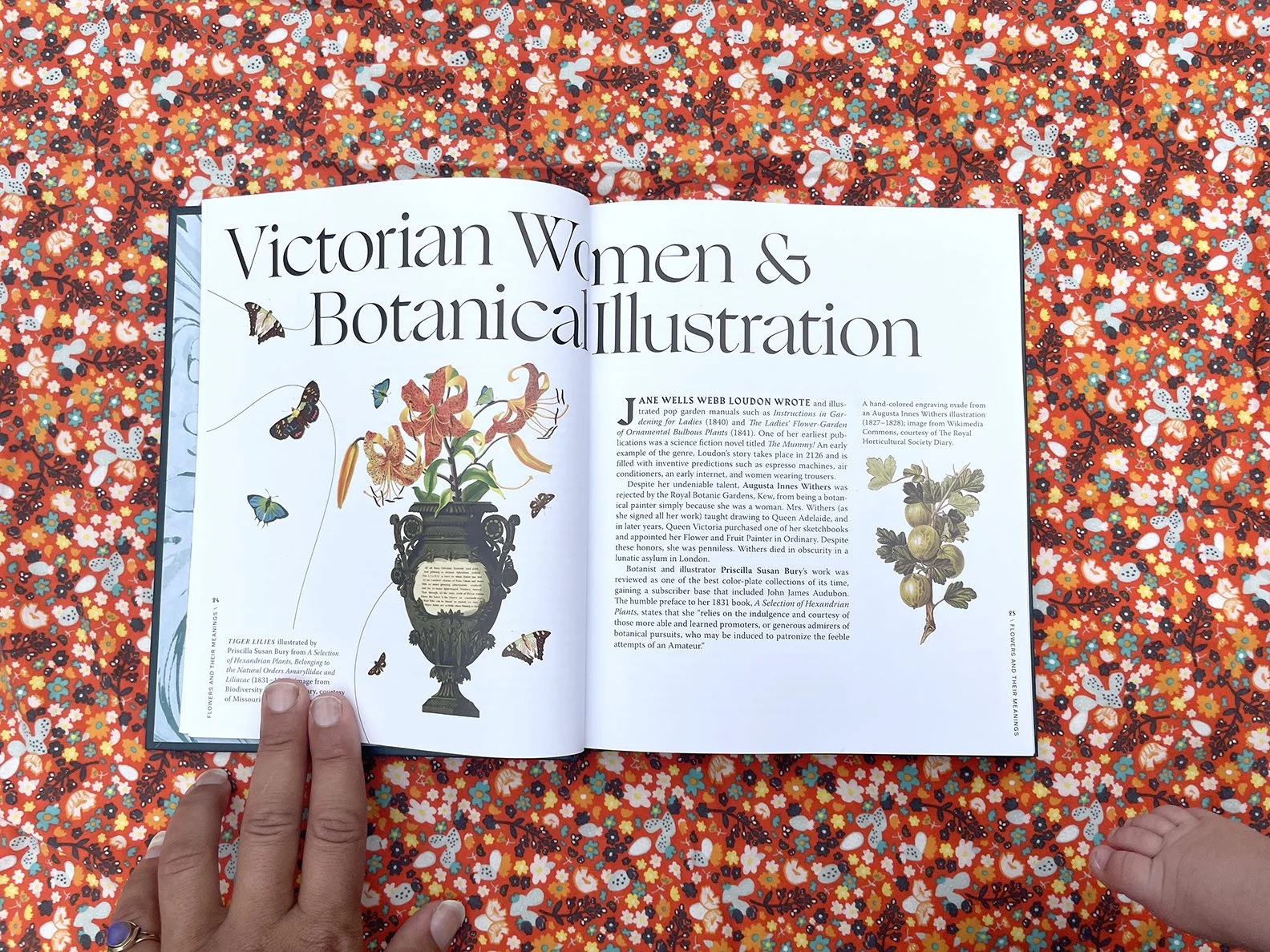 LIBRARY: Flowers and Their Meanings — mixed color