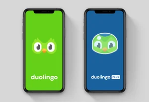 Identity & Bespoke Typeface for Duolingo — Beth Johnson