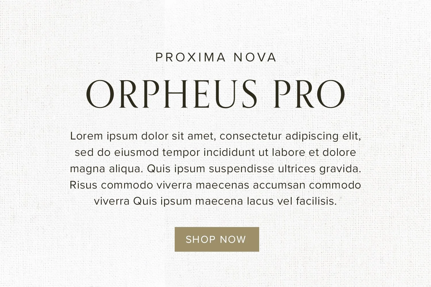 The Best Modern Font Pairings for Squarespace - Natsumi Nishizumi ...