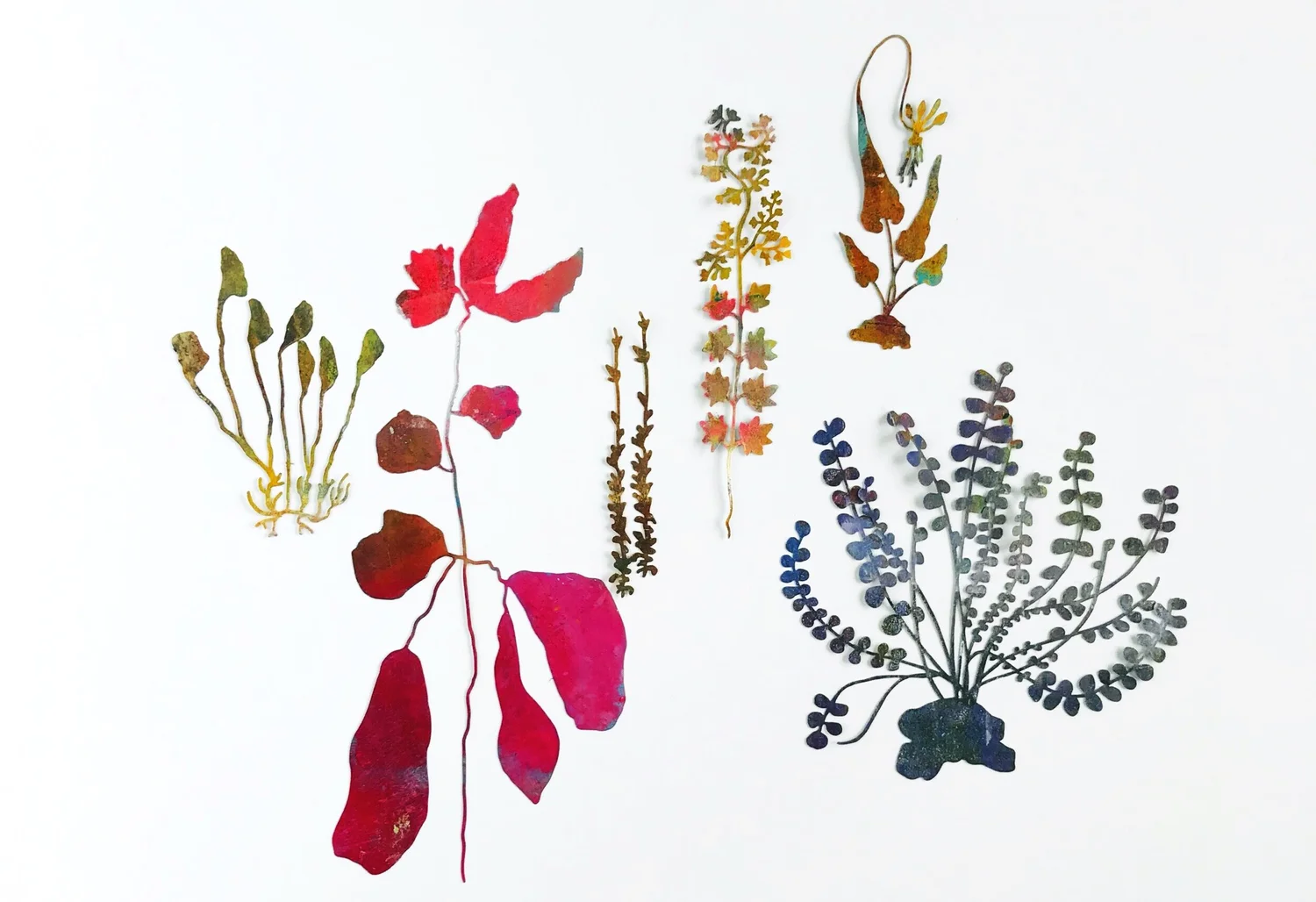 Botanical Stencil Collection — RAE MISSIGMAN