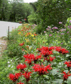 How to Prepare a Boulevard Garden - Midwest Gardening