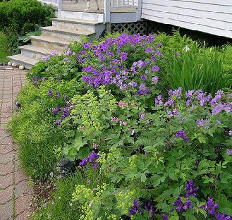 Foundation Planting Ideas - Midwest Gardening