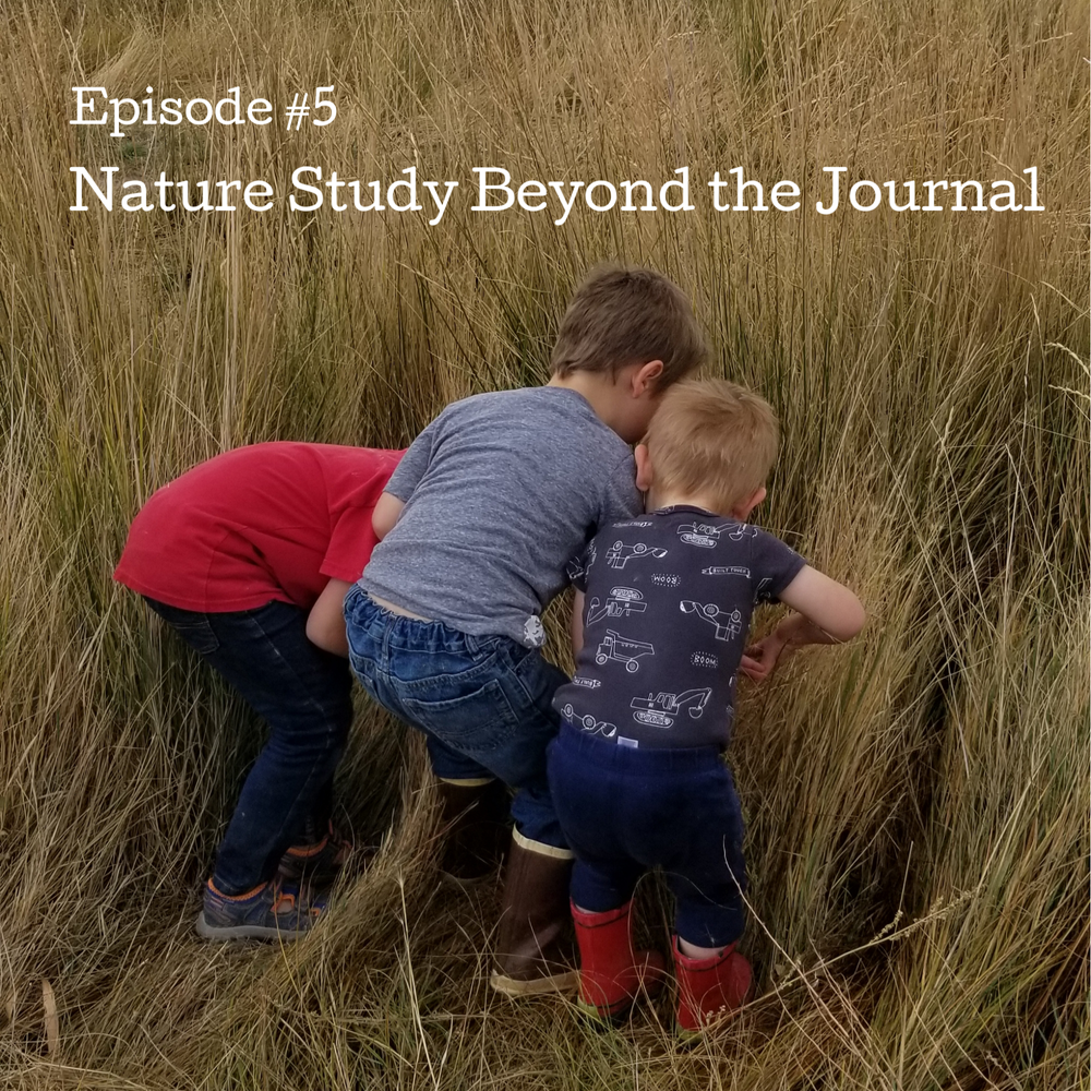 E 5 Nature Study Beyond The Journal Hatching Curiosity