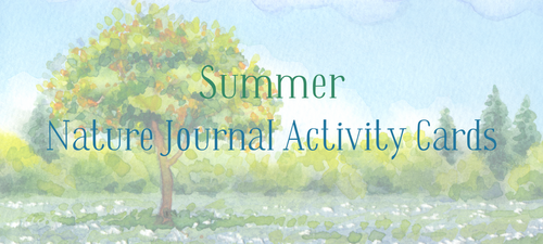 Welcome to A Year of Nature Journaling! — Hatching Curiosity