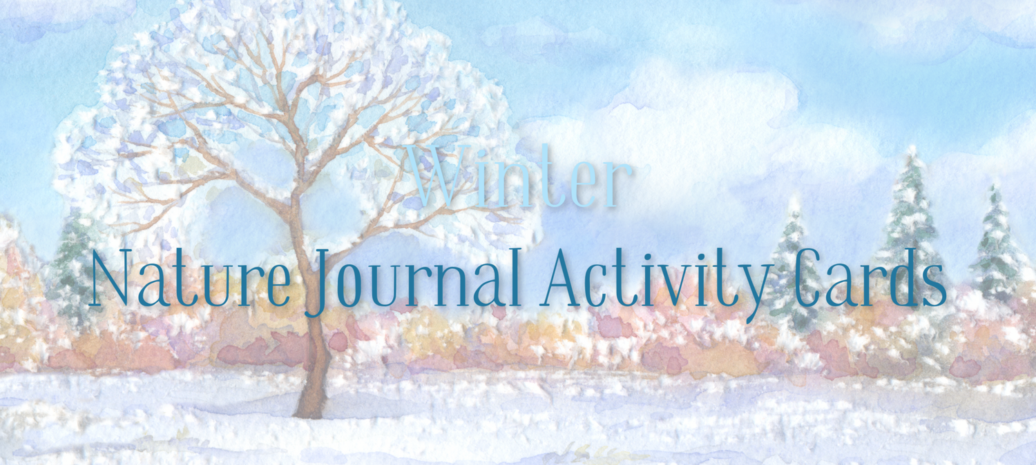 Welcome to A Year of Nature Journaling! — Hatching Curiosity