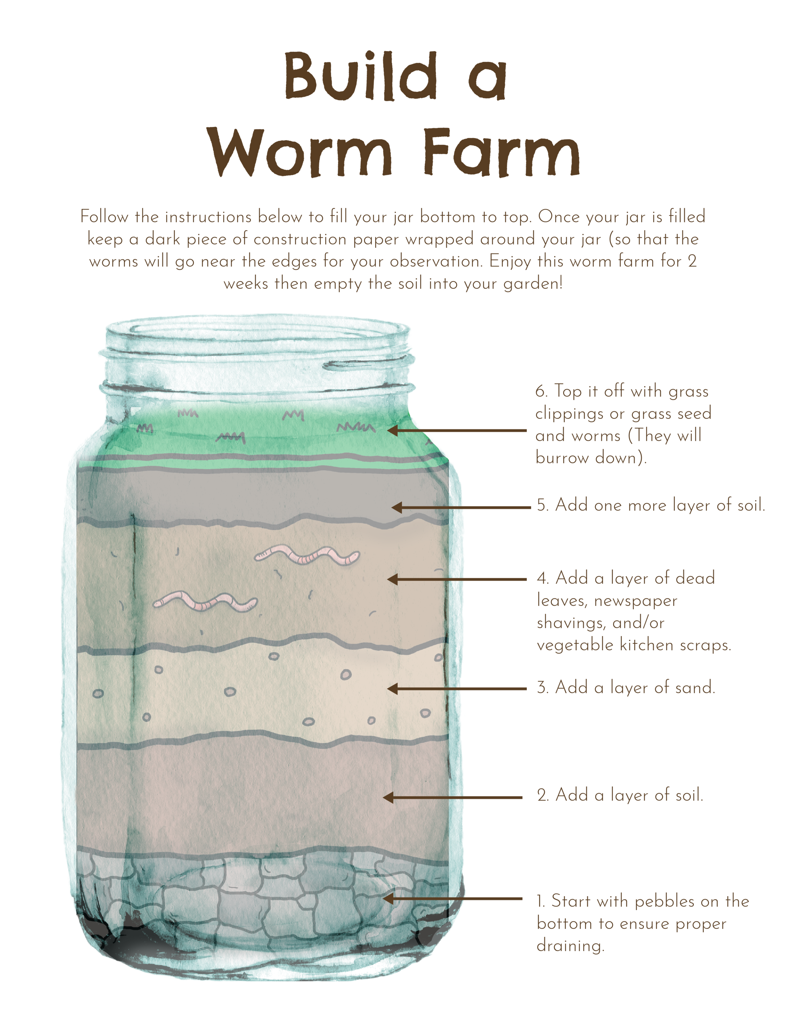 How to Build a Worm Farm — Hatching Curiosity