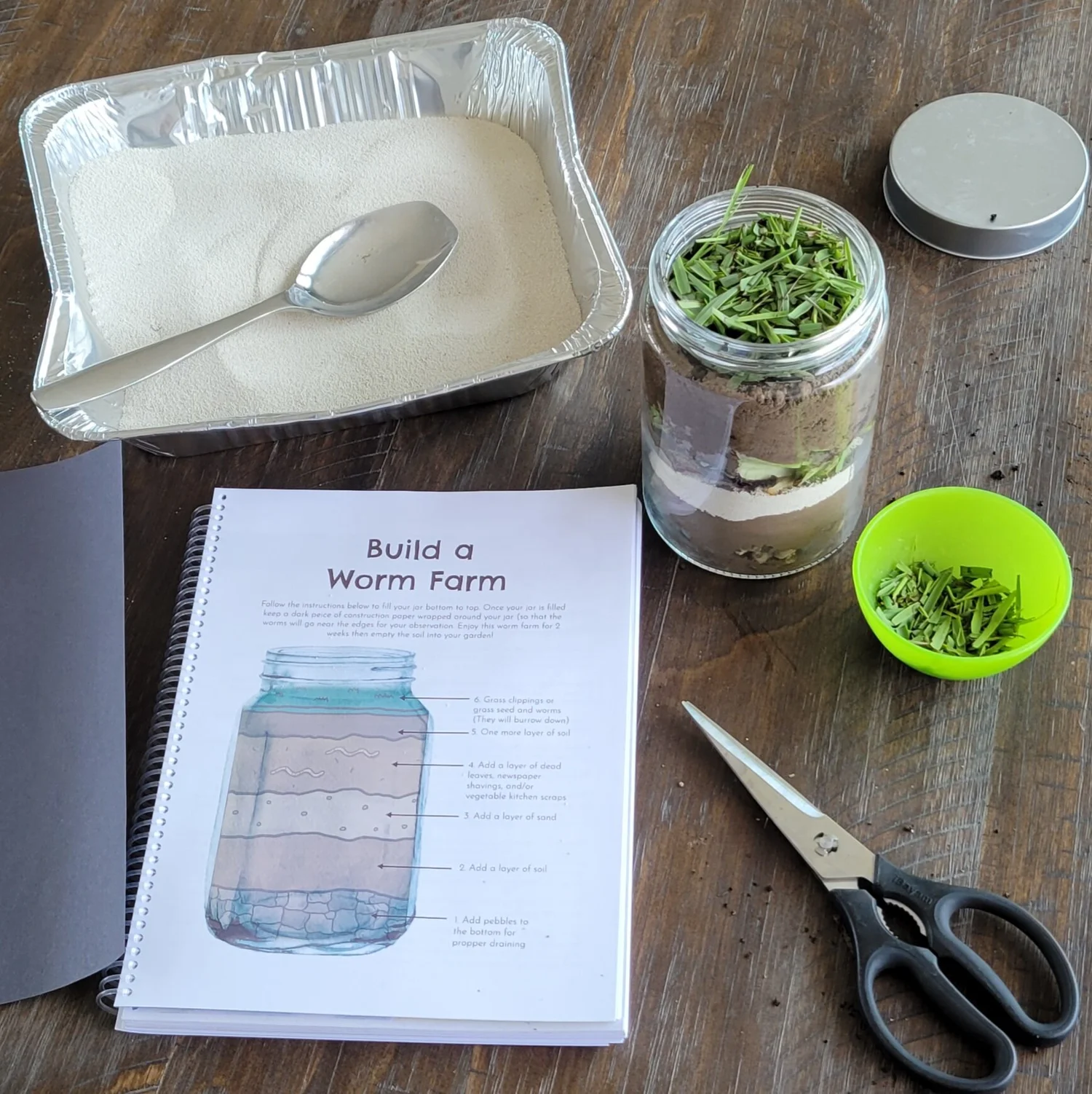 How to Build a Worm Farm — Hatching Curiosity