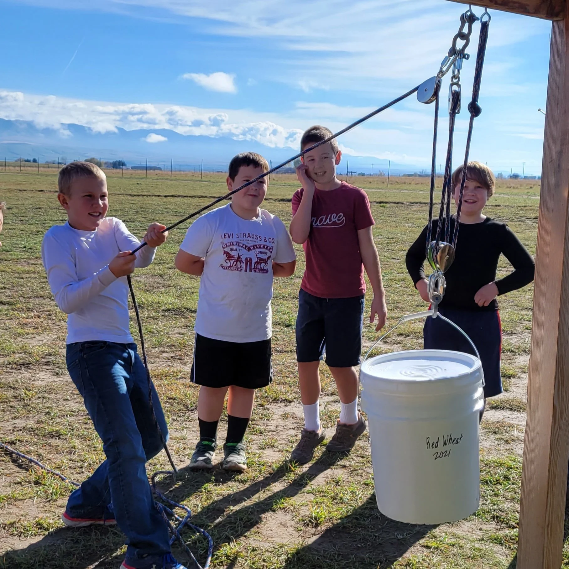 Simple Machines- Elementary Physics Unit — Hatching Curiosity