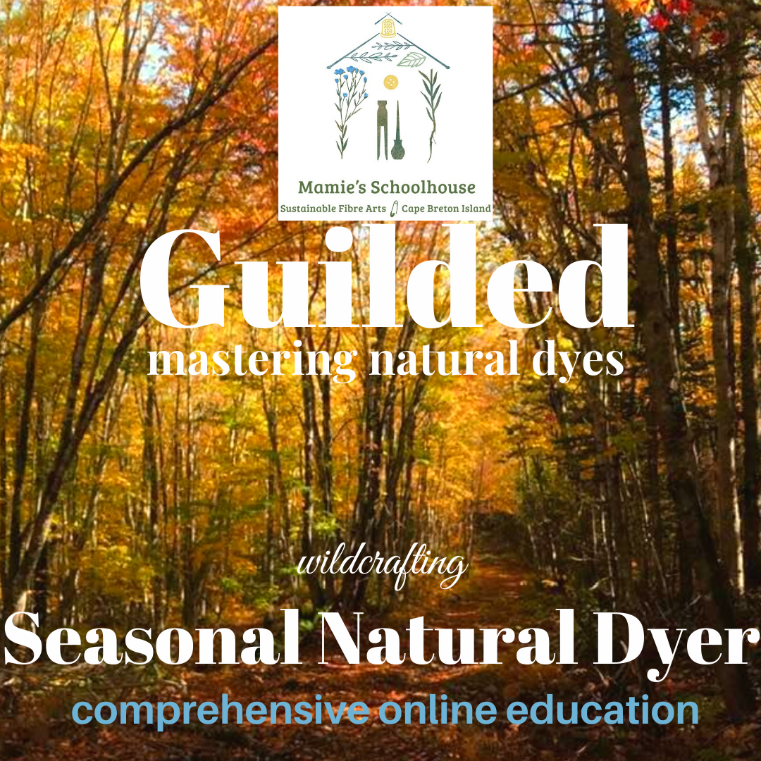 Online Courses — Natural Dye Education | Mamie's Schoolhouse