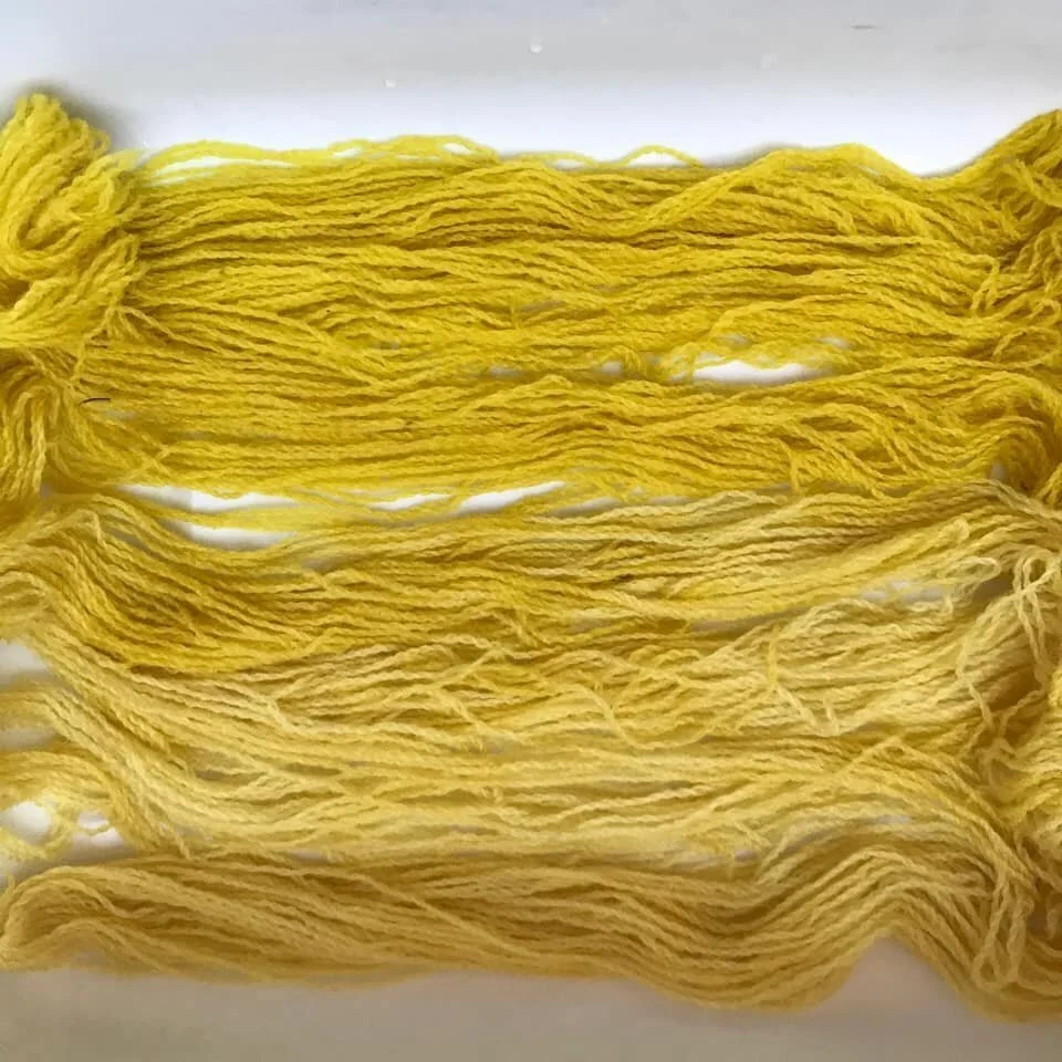 Mordant Over-Use: Protein? — Natural Dye Education | Mamie's Schoolhouse
