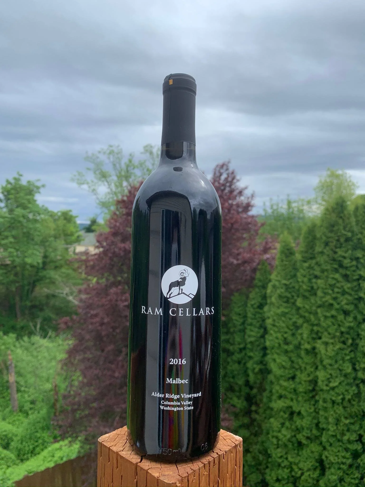 Shop — RAM Cellars