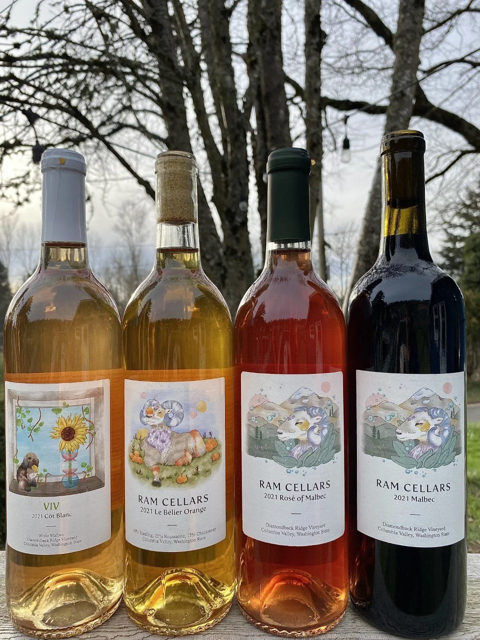 Shop — RAM Cellars