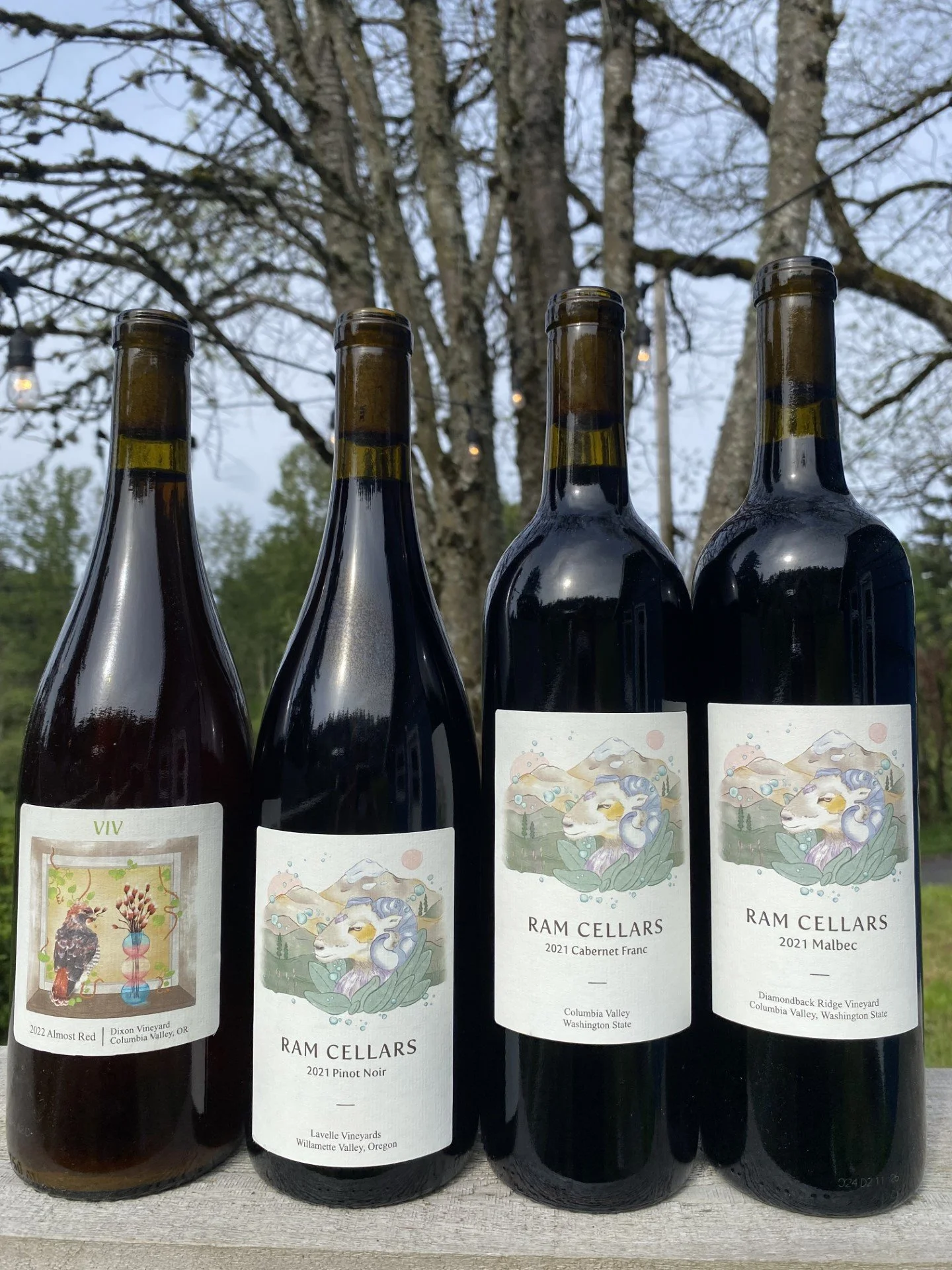 Shop — RAM Cellars