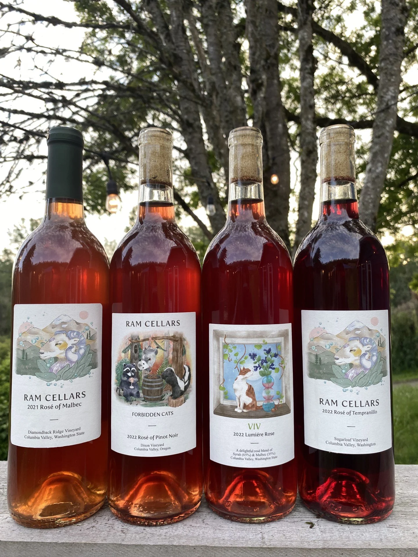 Shop — RAM Cellars