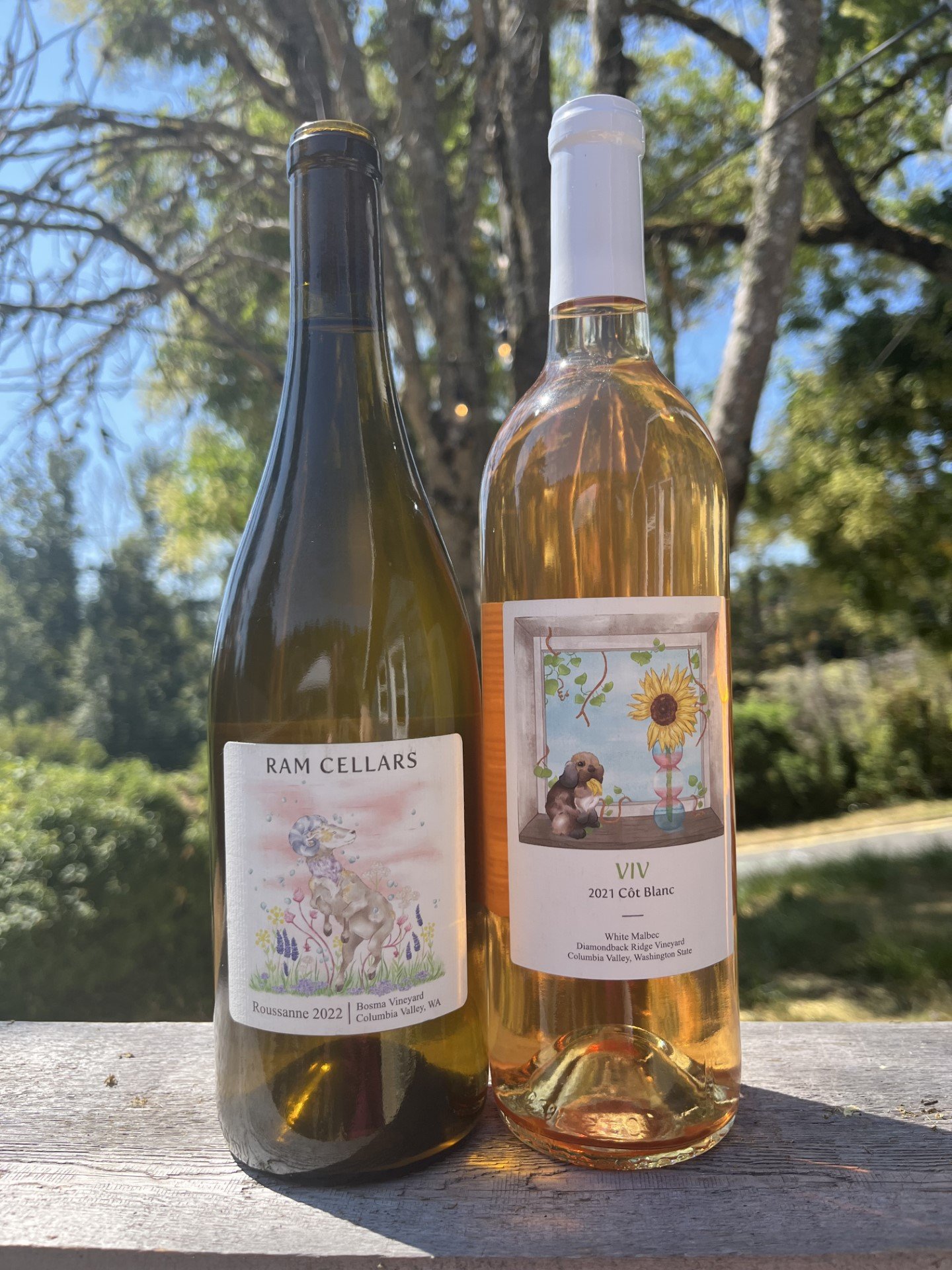 Shop — RAM Cellars