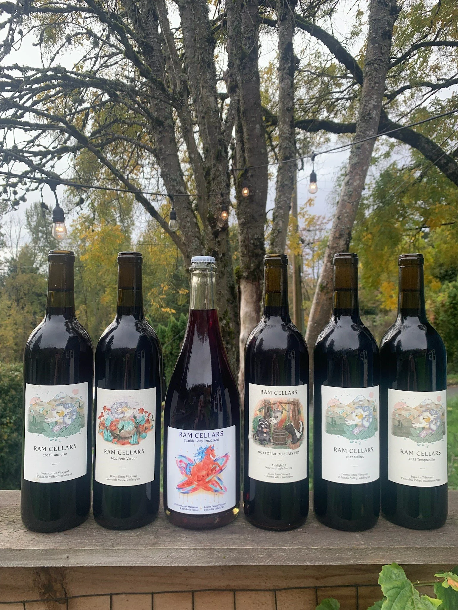 Shop — RAM Cellars