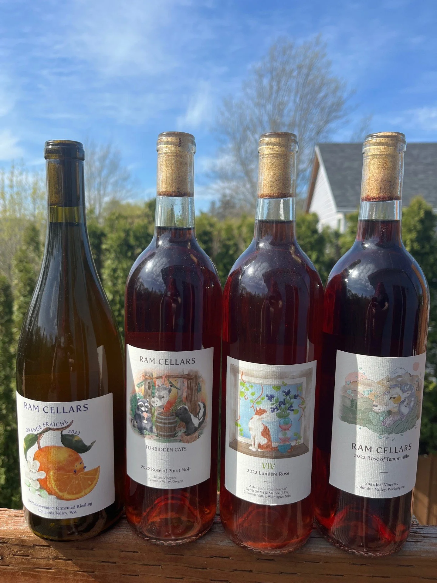 Shop — RAM Cellars