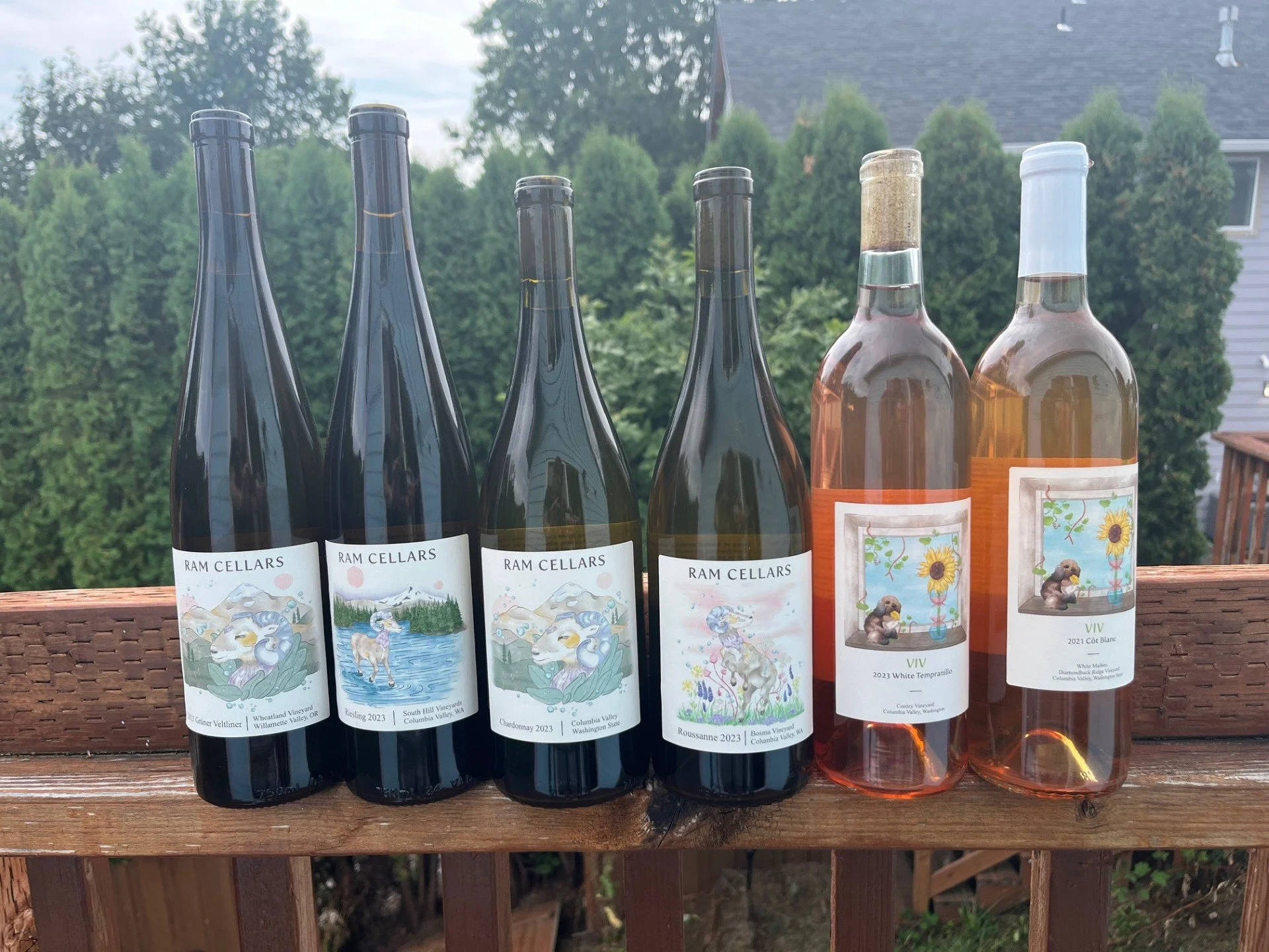 Shop — RAM Cellars