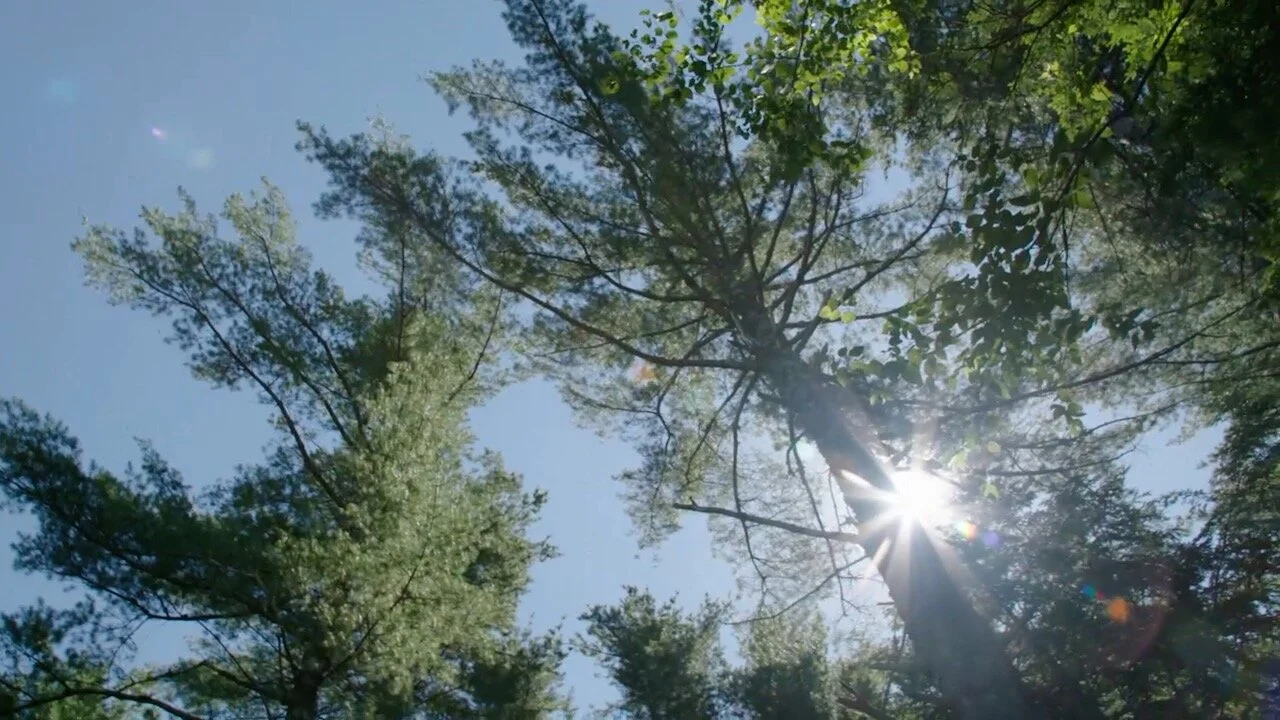 NECEC: New England Clean Energy Connect