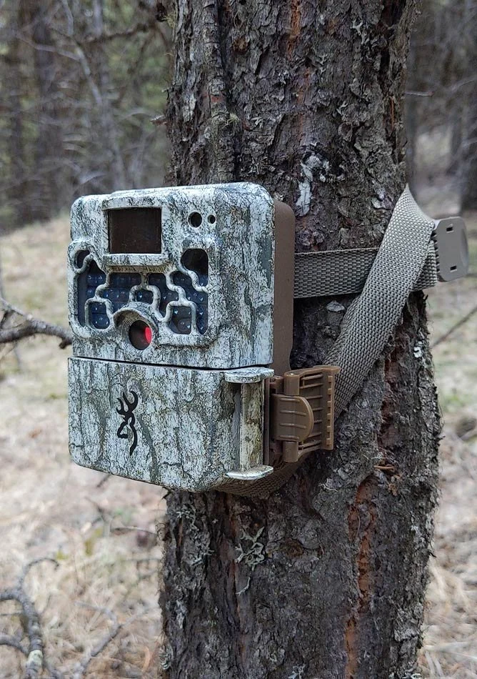 Blog | Stories from the Wild by Montana Nature & Wildlife Photographer ...