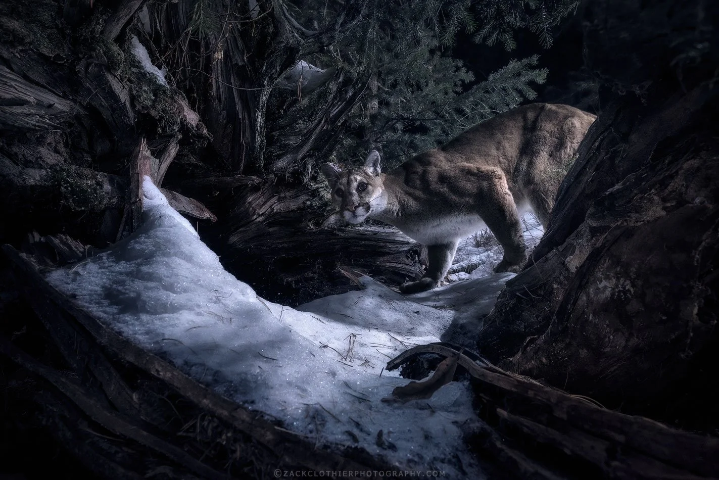 Best Of 2021 — Zack Clothier Photography