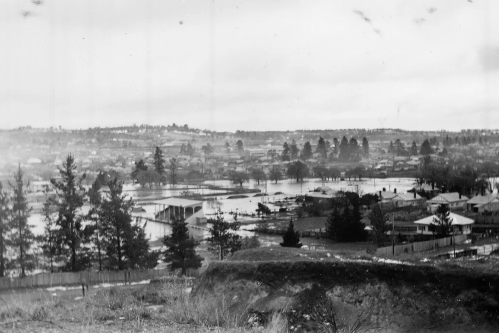 History - Newspapers — Visions for Armidale Creeklands