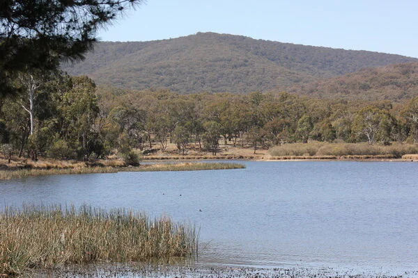 Planning - facts and data — Visions for Armidale Creeklands