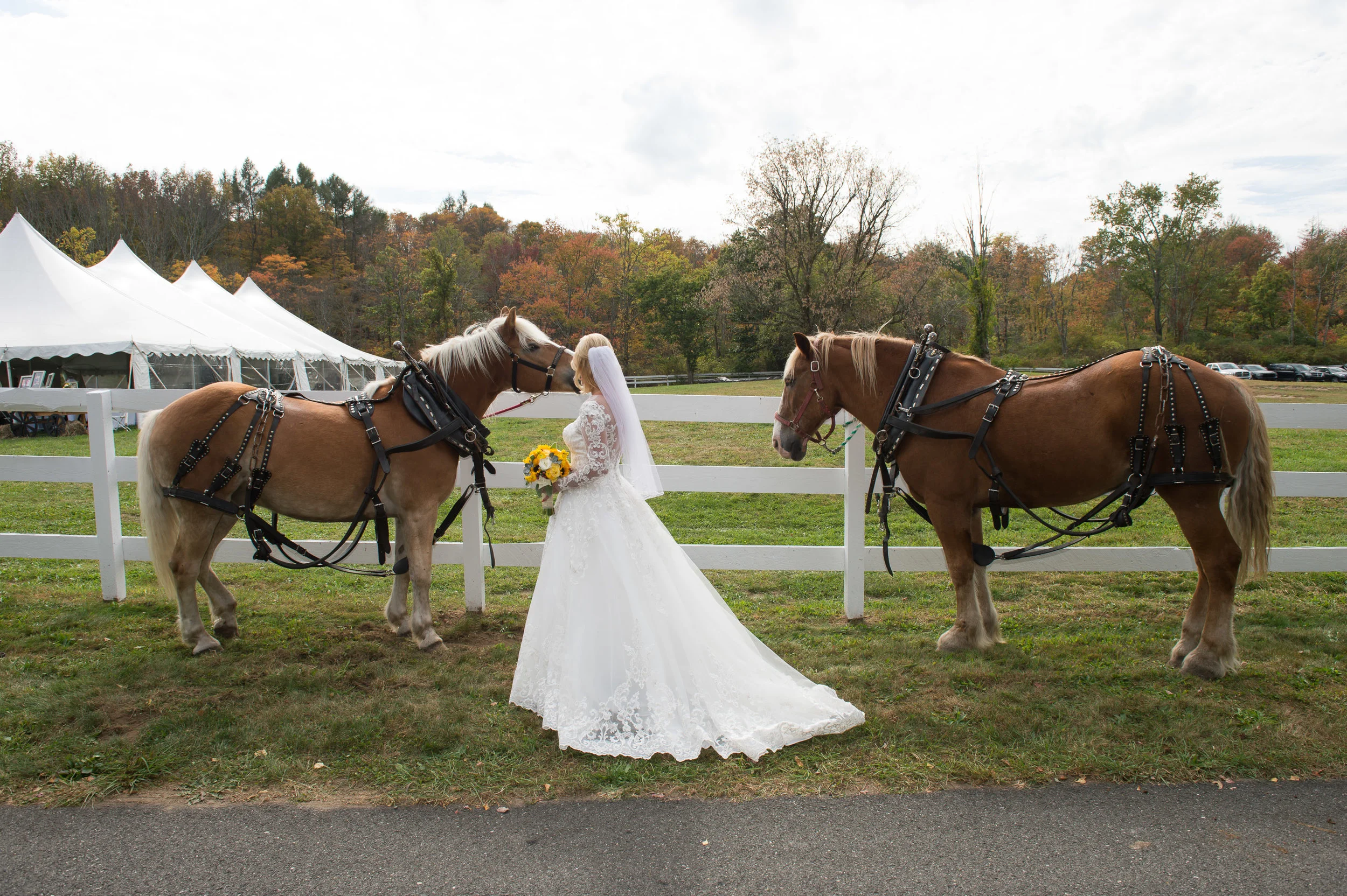 Judney Farms — Judney Farms