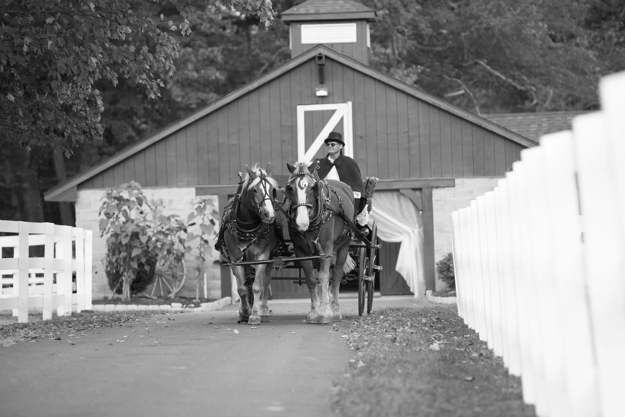Judney Farms — Judney Farms