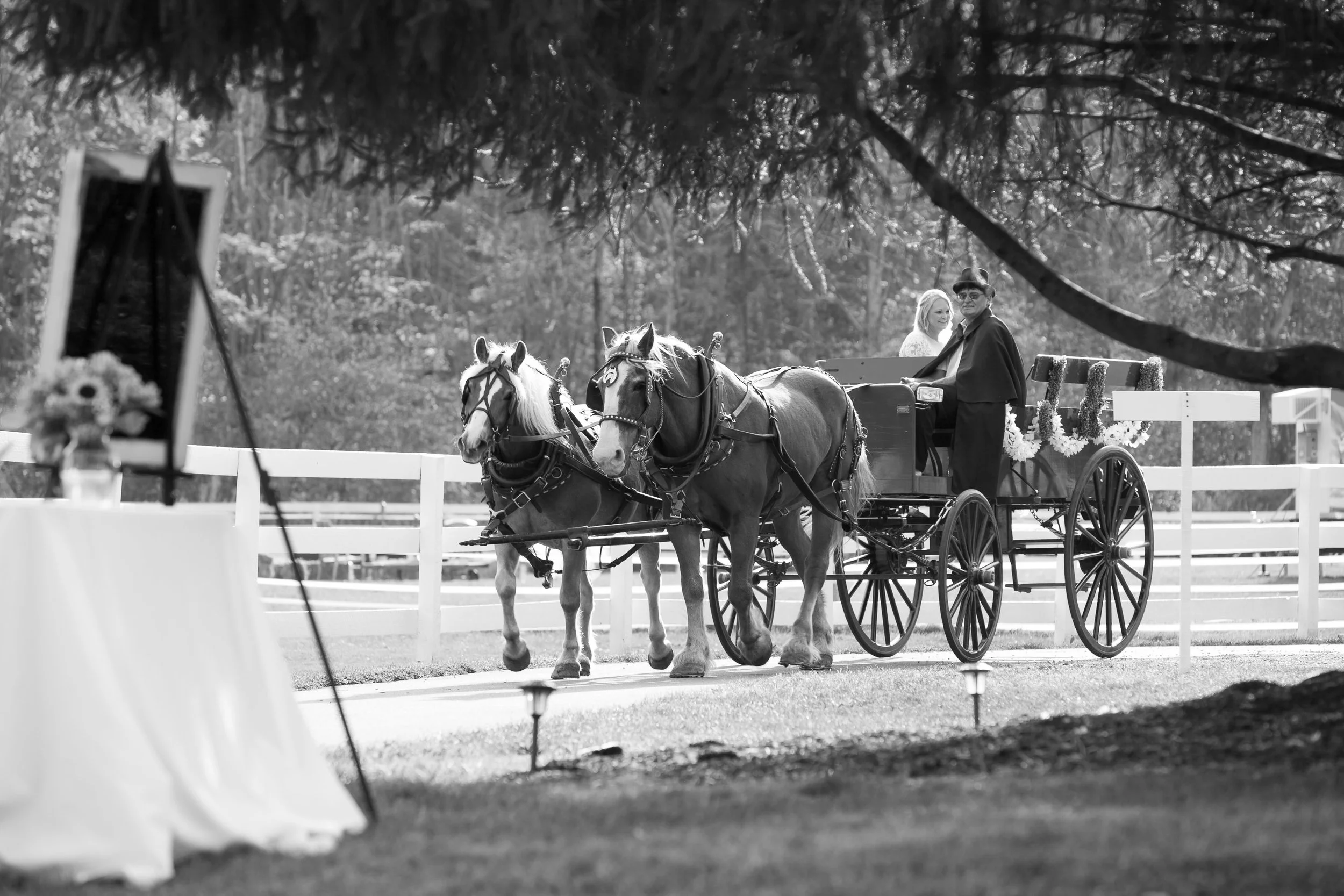 Judney Farms — Judney Farms