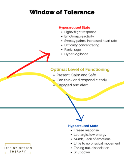 Understanding and Unlocking The Potential of Your Window of Tolerance ...