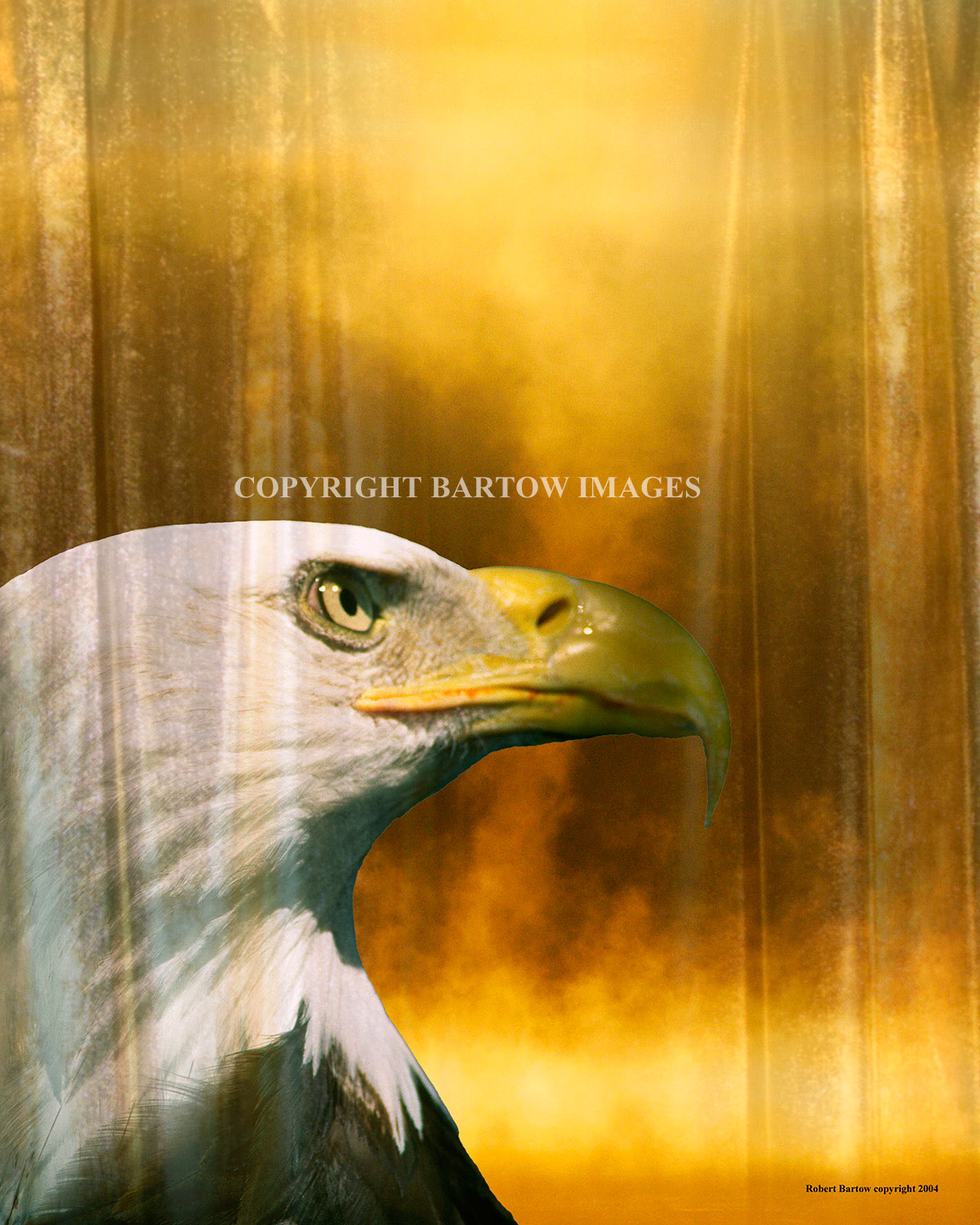 Beyond The Veil Bartow Creative Images beyond-the-veil-bartow-creative-images