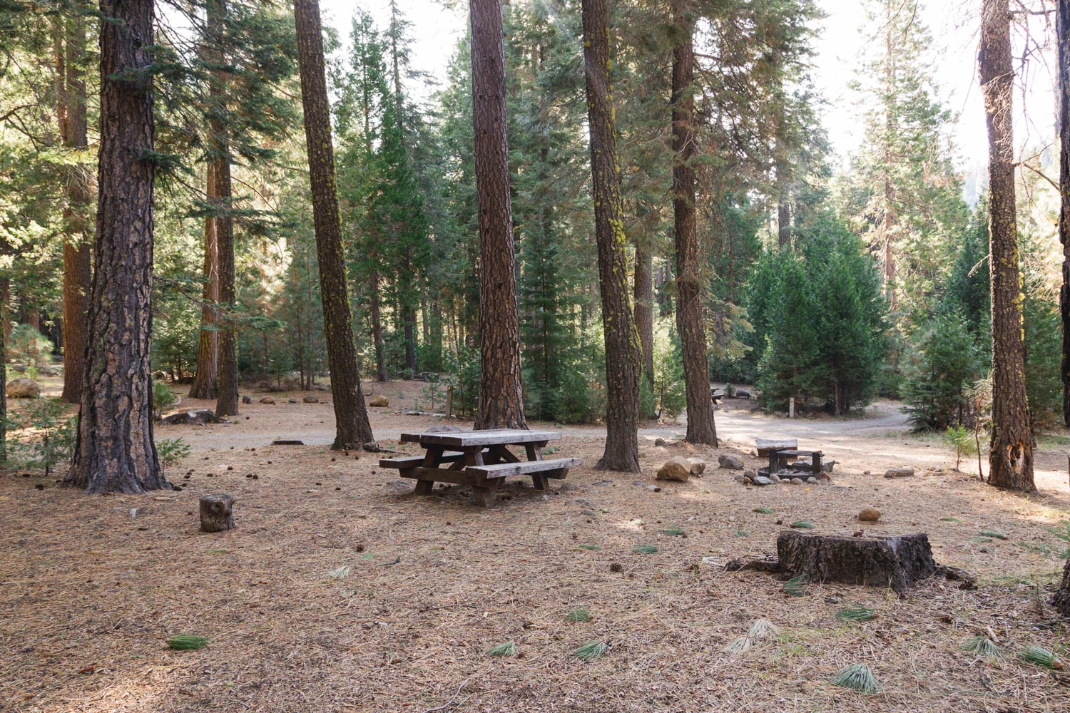 Camping near Lassen — Mill Creek Resort