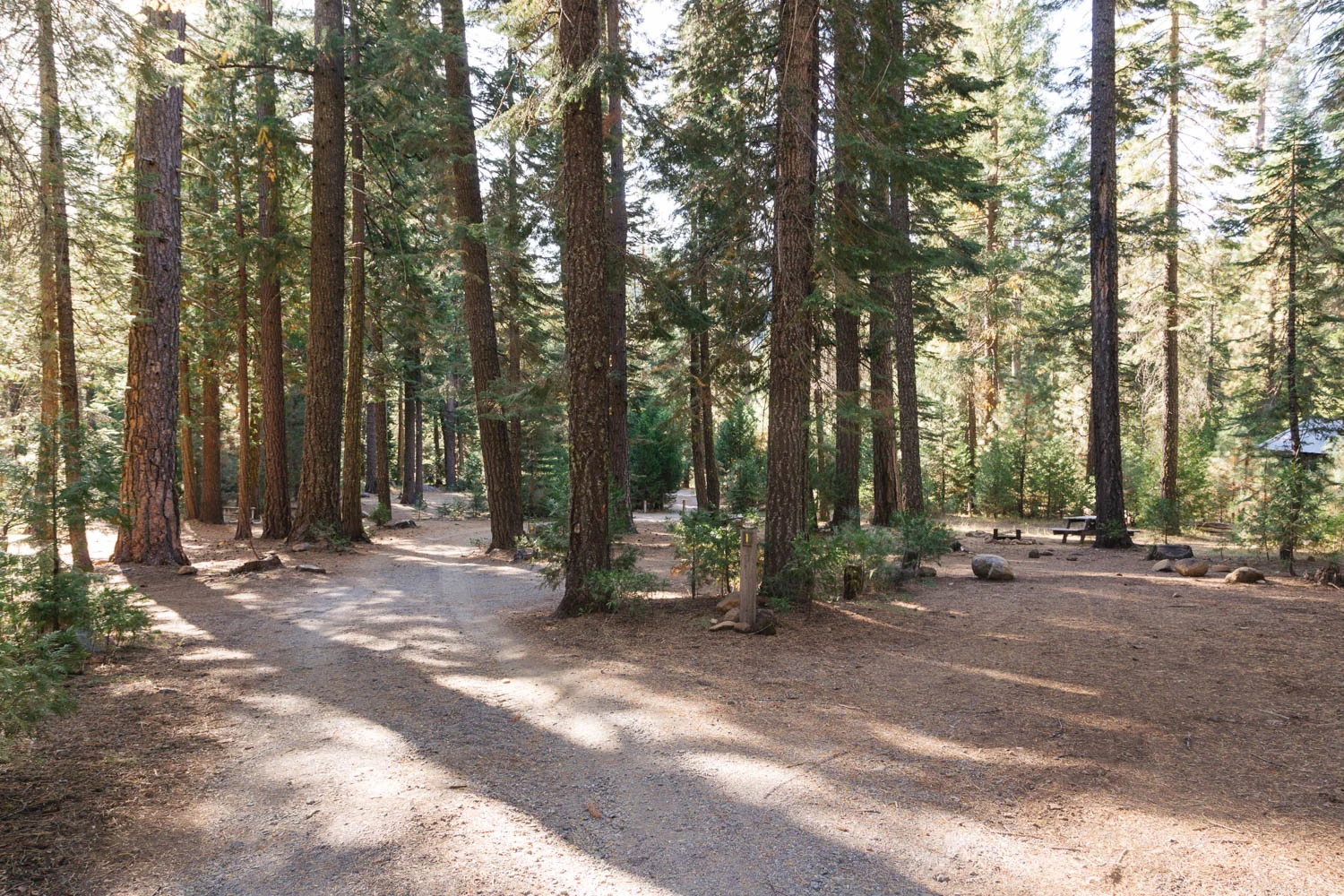 Camping near Lassen — Mill Creek Resort