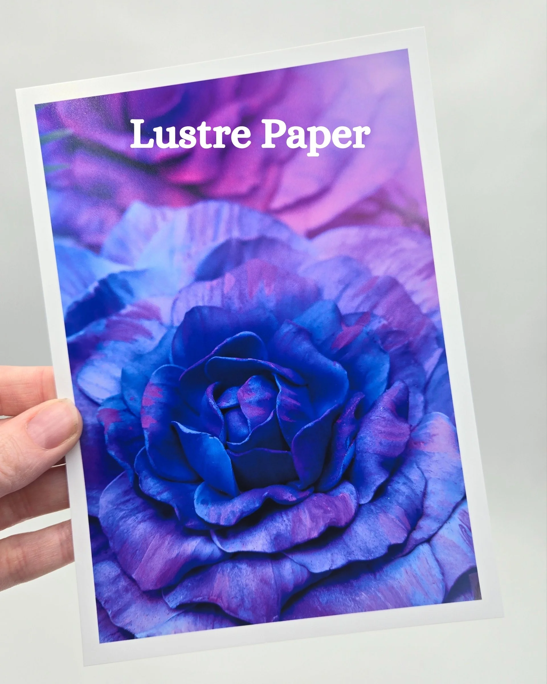 Colorful Unique Original Artwork for Sale