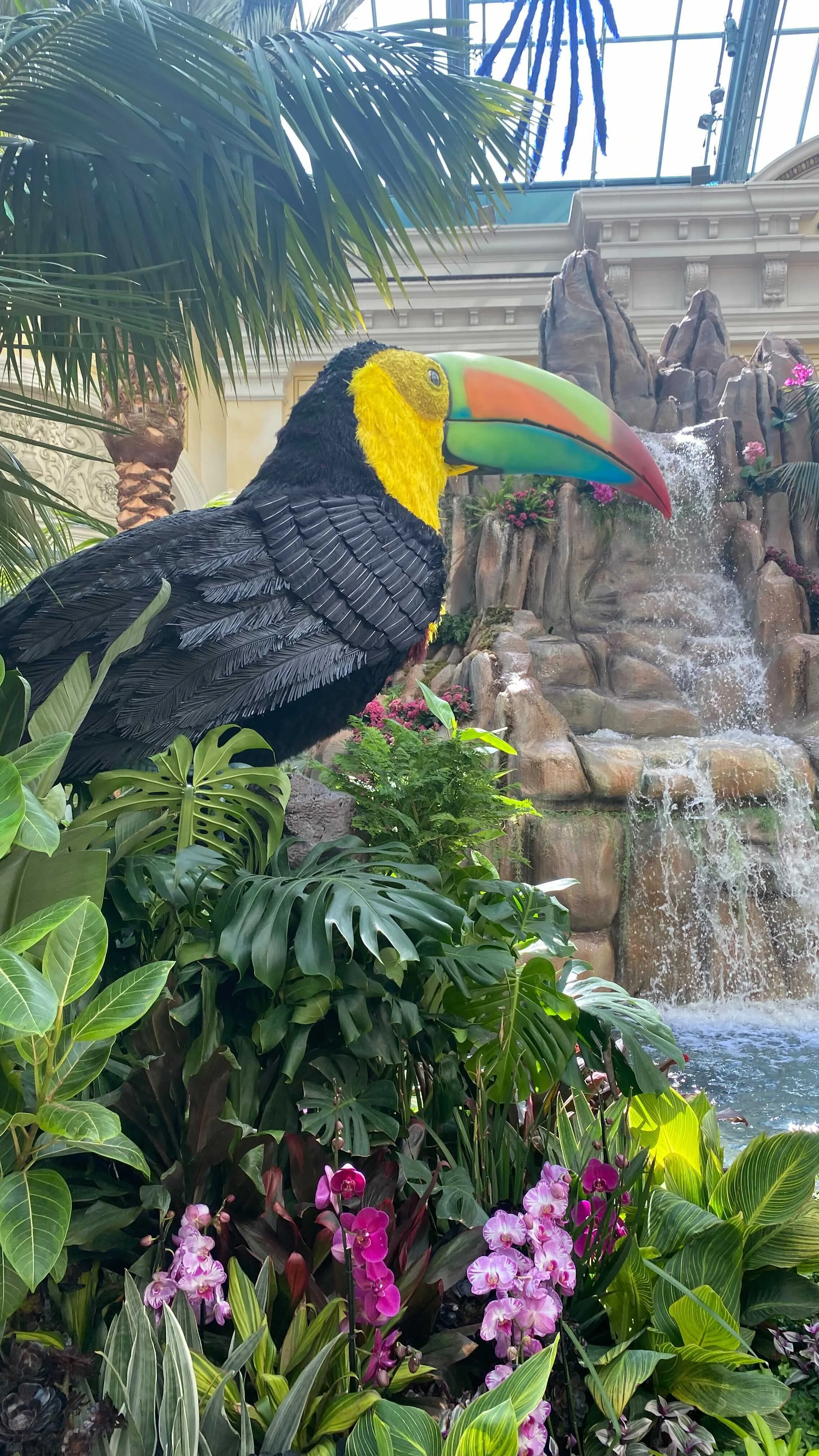 The Traveling Massholes