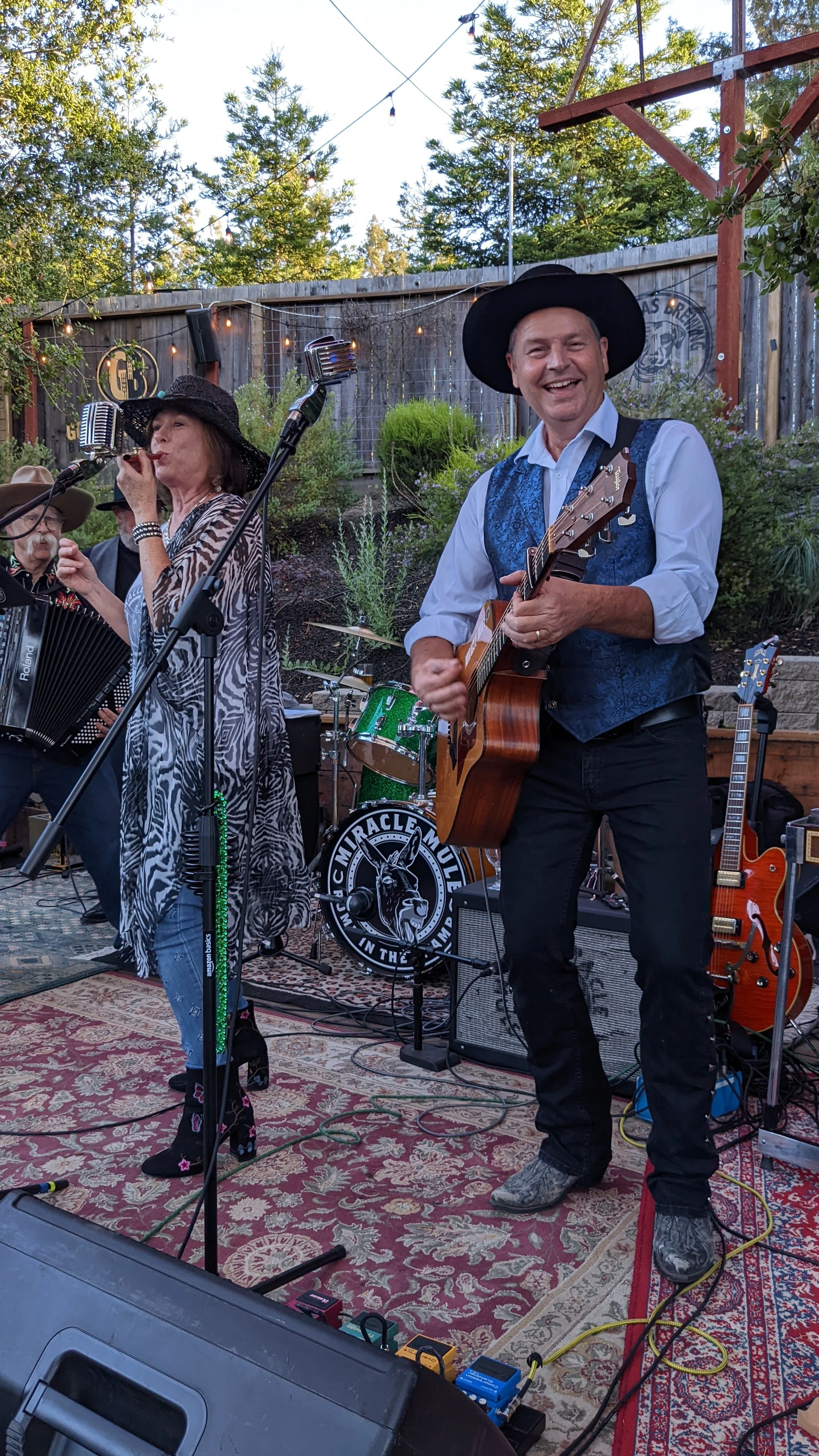 Miracle Mule - The Bay Area's Favorite Swampy Tonk Dance Band!