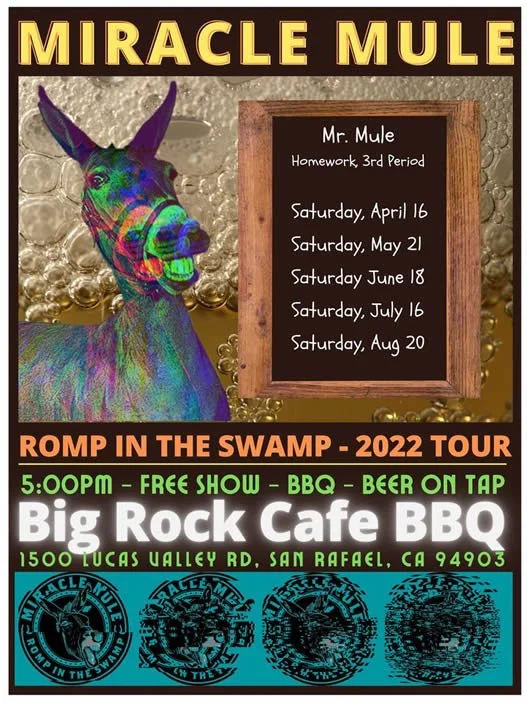 Shows — Miracle Mule - The Bay Area's Favorite Swampy Tonk Dance Band!