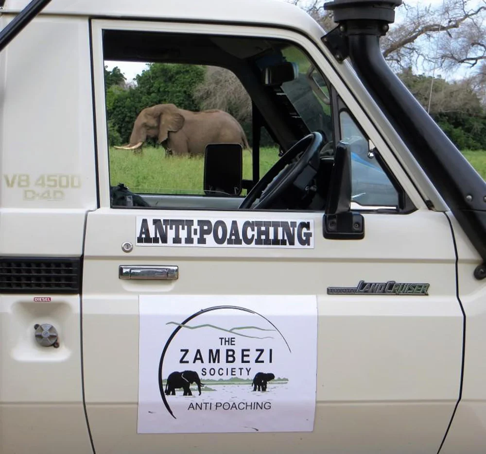 Projects — The Zambezi Society